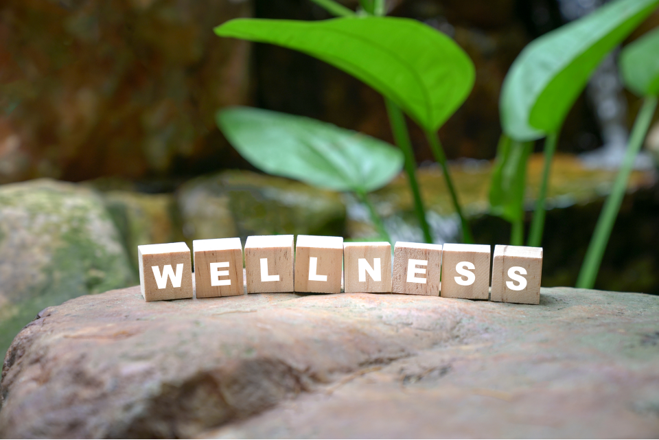 Innovation meets wellness: How Mannatech is revolutionizing the ...